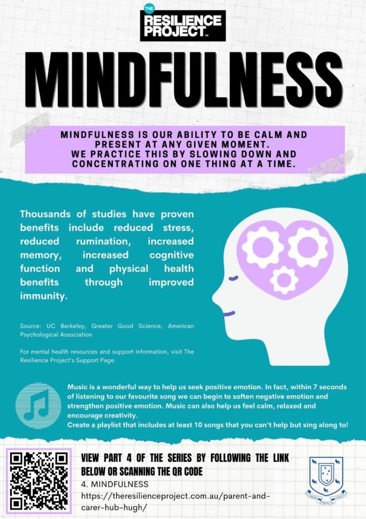 Resilience Project | Birdwood High School